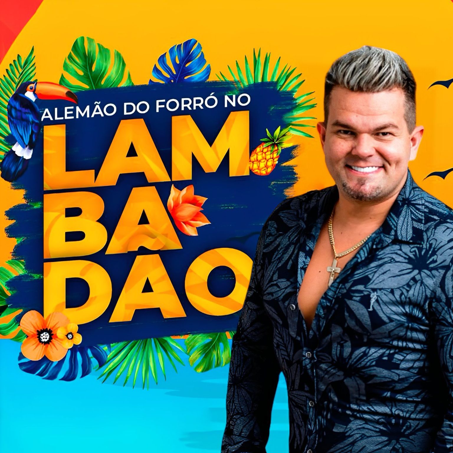 Discografia – Alemao do Forró