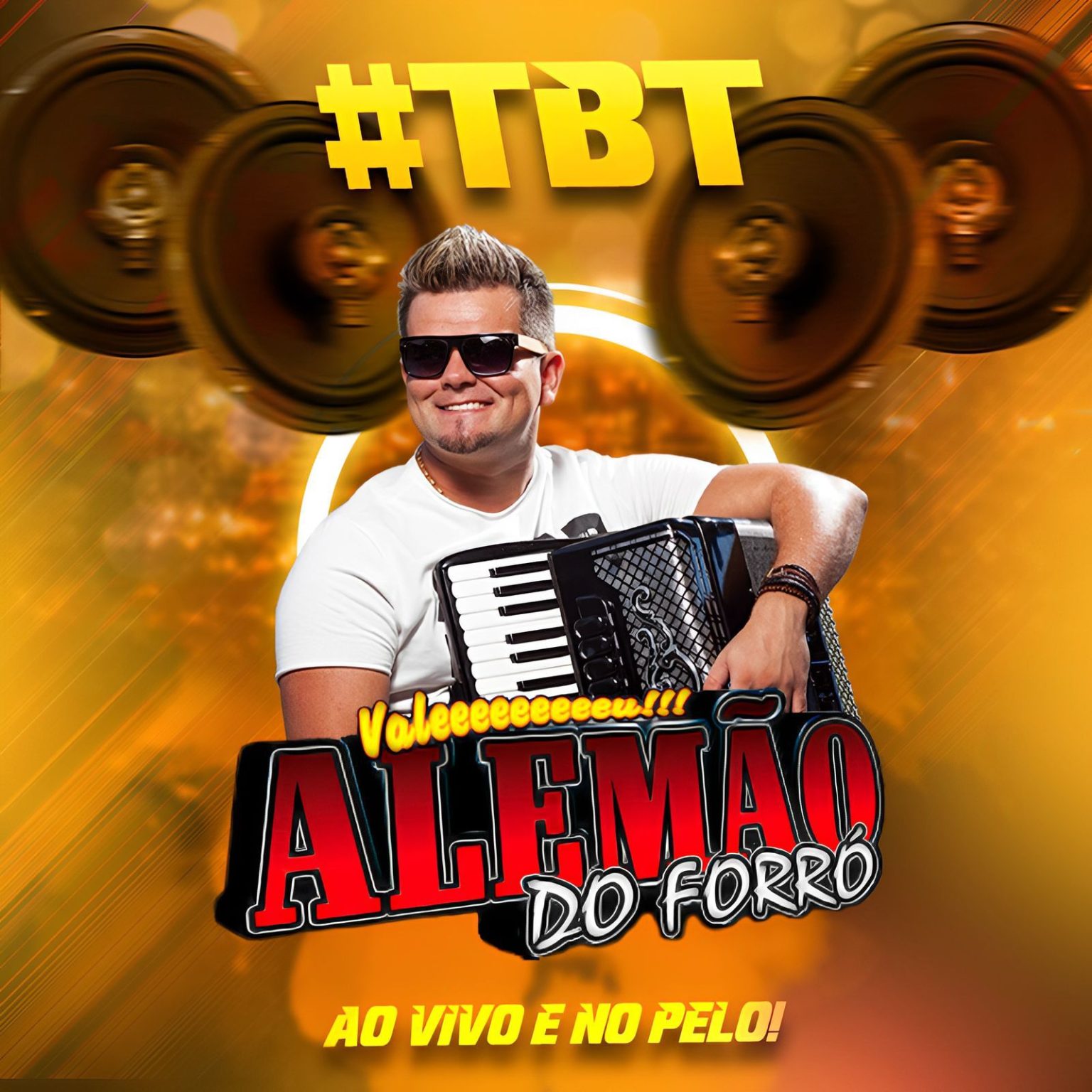 Discografia – Alemao do Forró